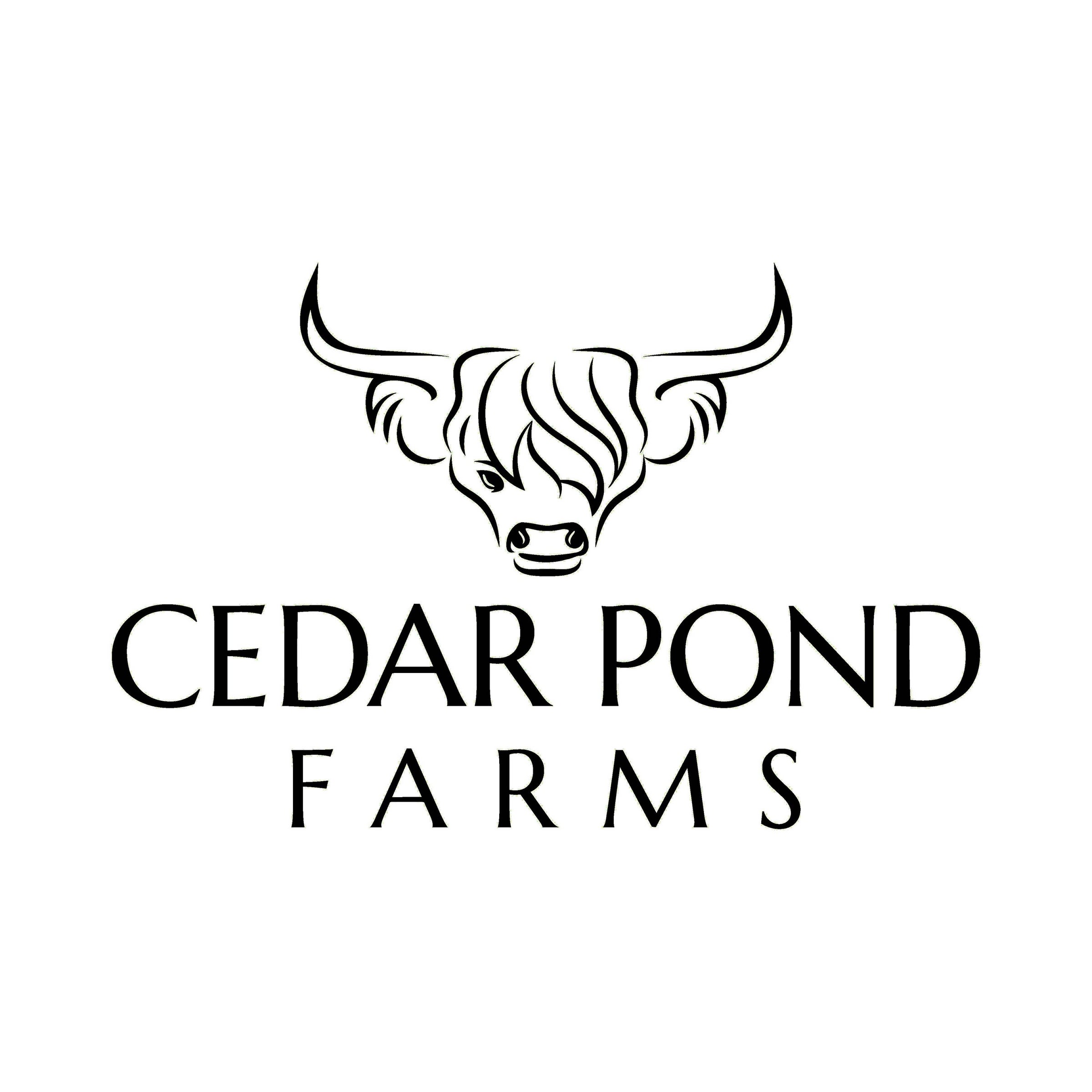 Scottish Highland Cows Petting Experience | Cedar Pond Farms Scottish ...